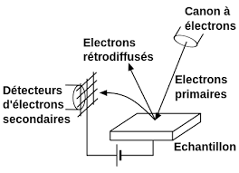 MEB – Microscopie électronique et analytique