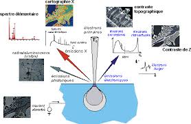 MEB – Microscopie électronique et analytique