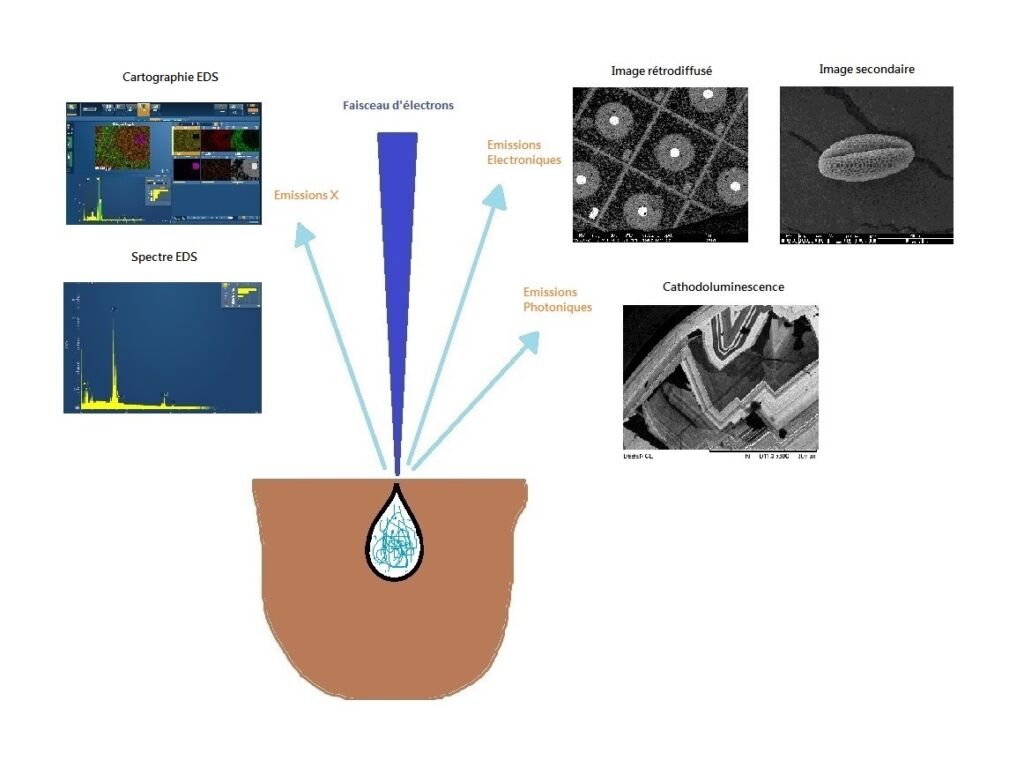 MEB - Microscopie électronique et analytique